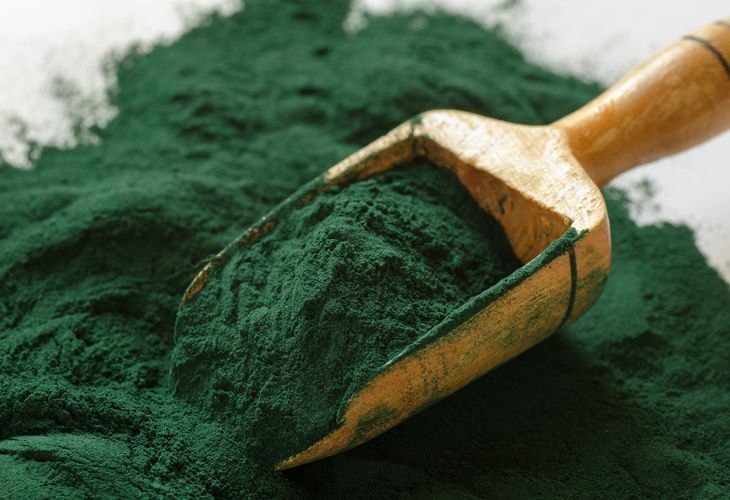 Algi morskie i ich właściwości. Czy algi nadają się do jedzenia i picia?